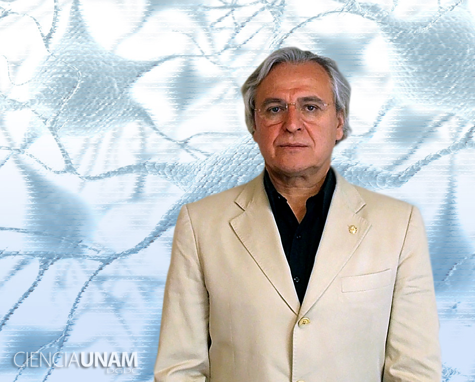 De vez en cuando le arrancamos secretos a la naturaleza: Ranulfo Romo